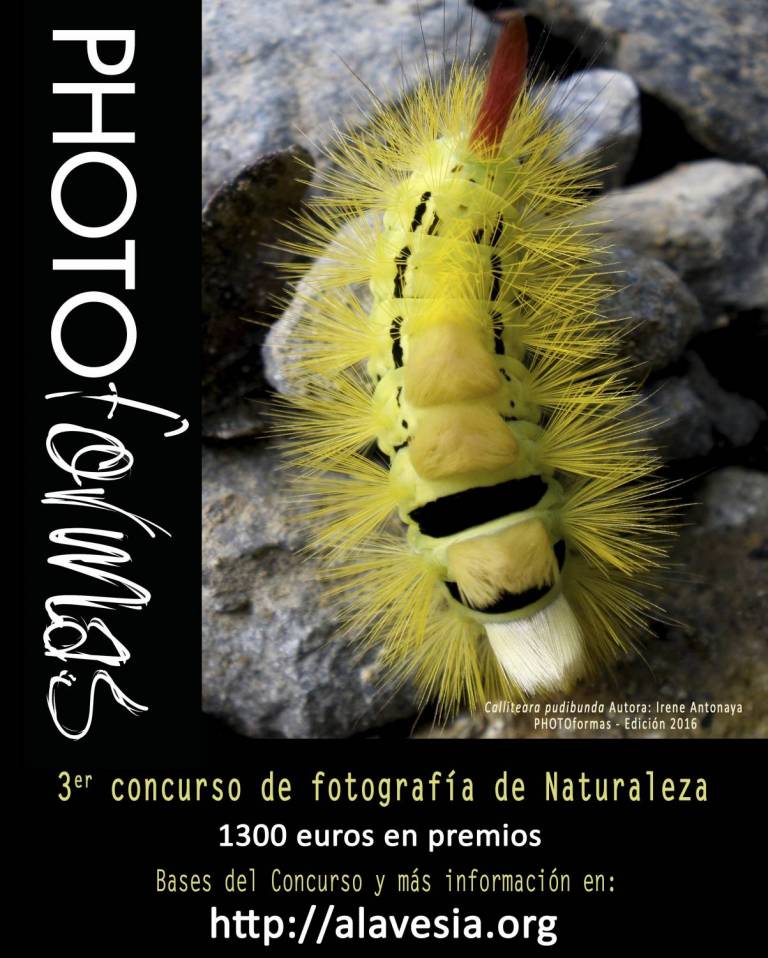 Concurso de Fotografía de Naturaleza PHOTOFORMAS - AEFONA