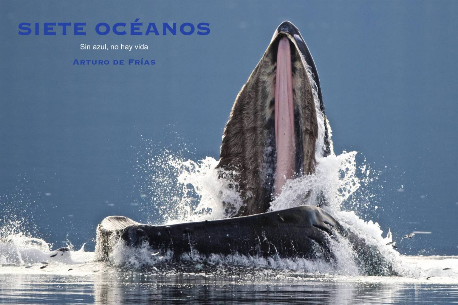 Presentación del libro SIETE OCÉANOS Autor: Arturo de Frías – AEFONA