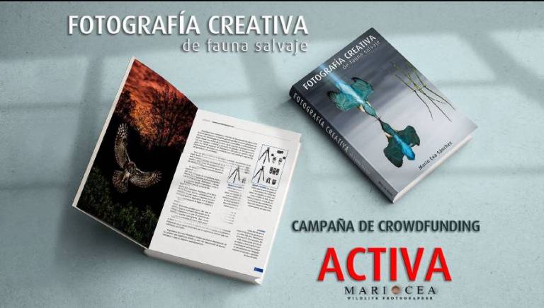 Nuevo libro de Mario Cea: Fotografía creativa de fauna salvaje – AEFONA