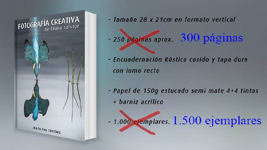 Nuevo libro de Mario Cea: Fotografía creativa de fauna salvaje – AEFONA