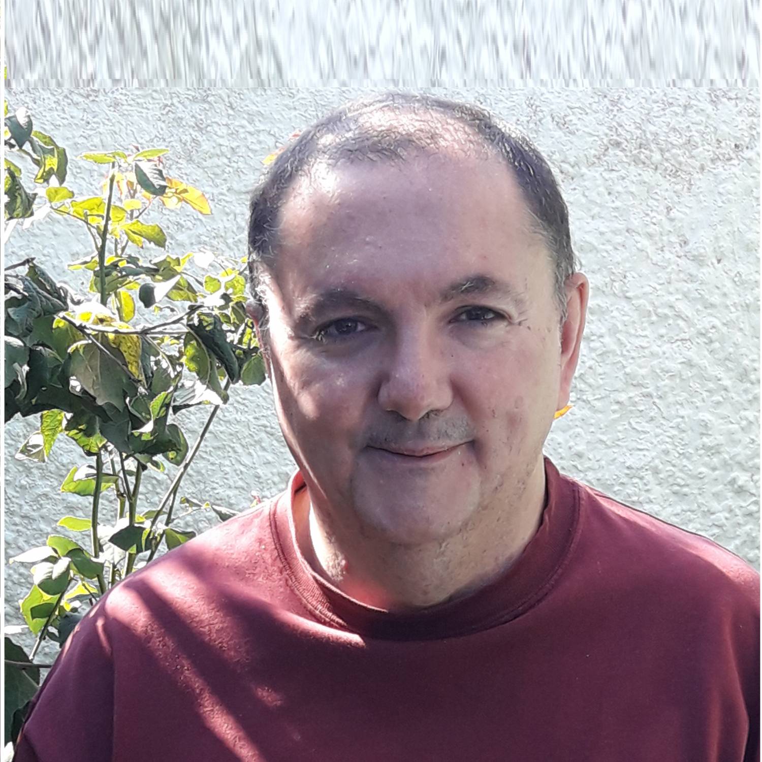 Junta directiva - AEFONA